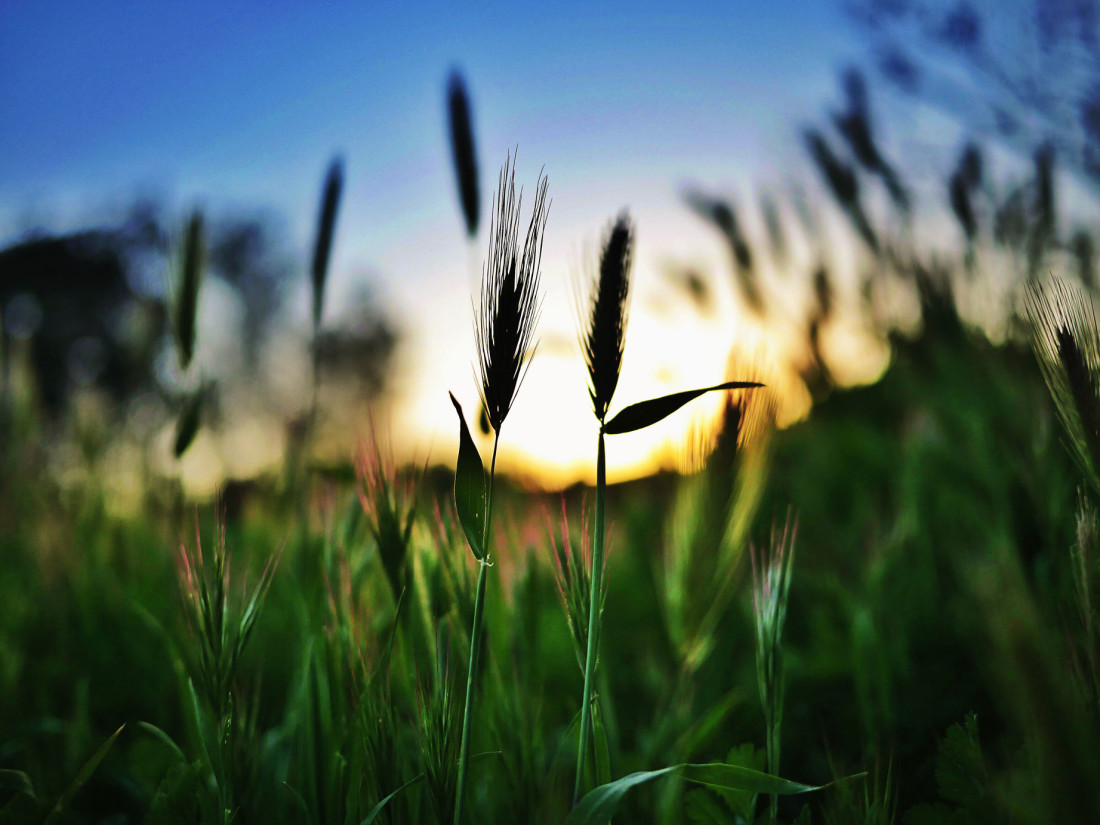 The GH4 s 4K Photo Mode Explained Why It Might Be A Huge Feature For