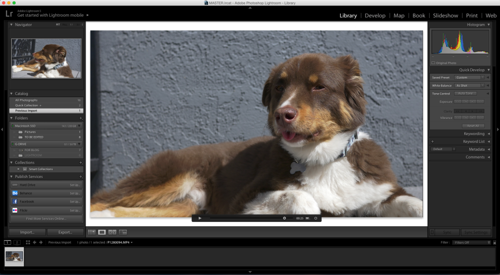 The GH4's 4K Photo Mode Explained & Why It Might Be A Huge Feature For ...