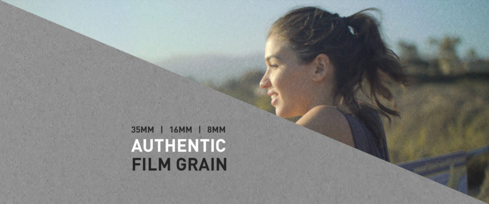 My Authentic Film Grain Packs Are Now Available! Choose Clean or Dirty ...