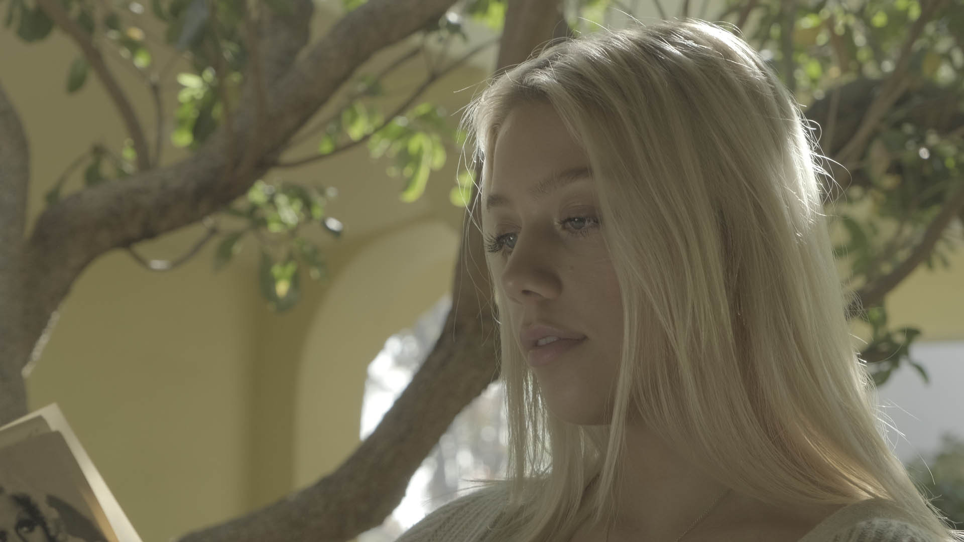 5 Essential Settings For The Perfect Color Grade - Noam Kroll