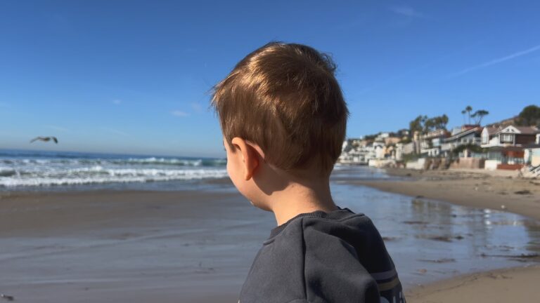 The Secret To Cinematic iPhone Color Grading: Using The Final Cut Pro ...