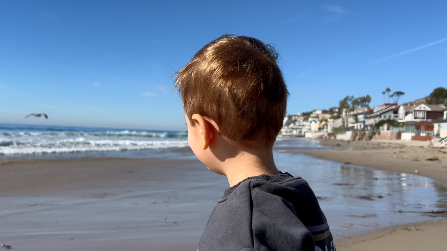 The Secret To Cinematic iPhone Color Grading: Using The Final Cut Pro ...