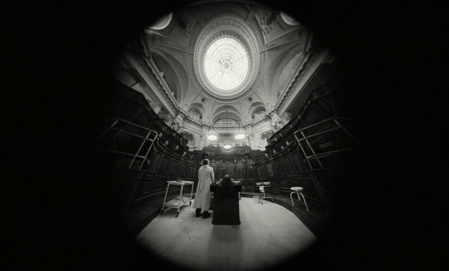 4 Stunning Lenses Used On POOR THINGS To Achieve A Gorgeous Art-House ...